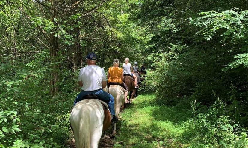 Stepping Stone Ranch | Horseback Riding near Lexington, KY