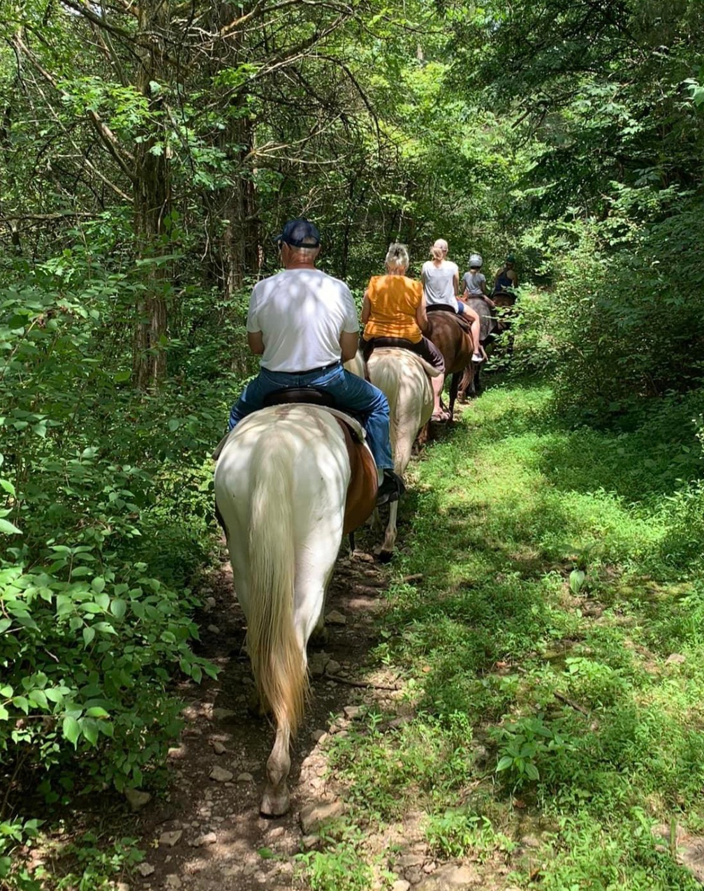 Natural Horsemanship On Line Course | Stepping Stone Ranch